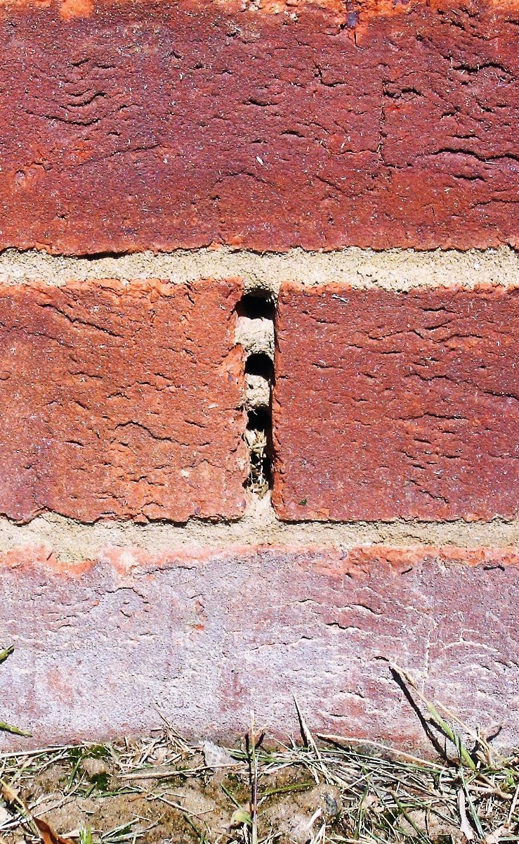 Weep Holes Explained: Essential Snagging Tips for New Homeowners | Home ...